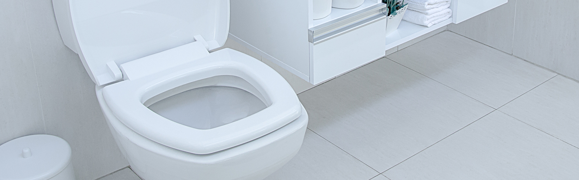 Tapas de Inodoro Con Formato Especial | Astra